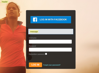 Building a nice looking login page with custom CSS – Xlinesoft Blog